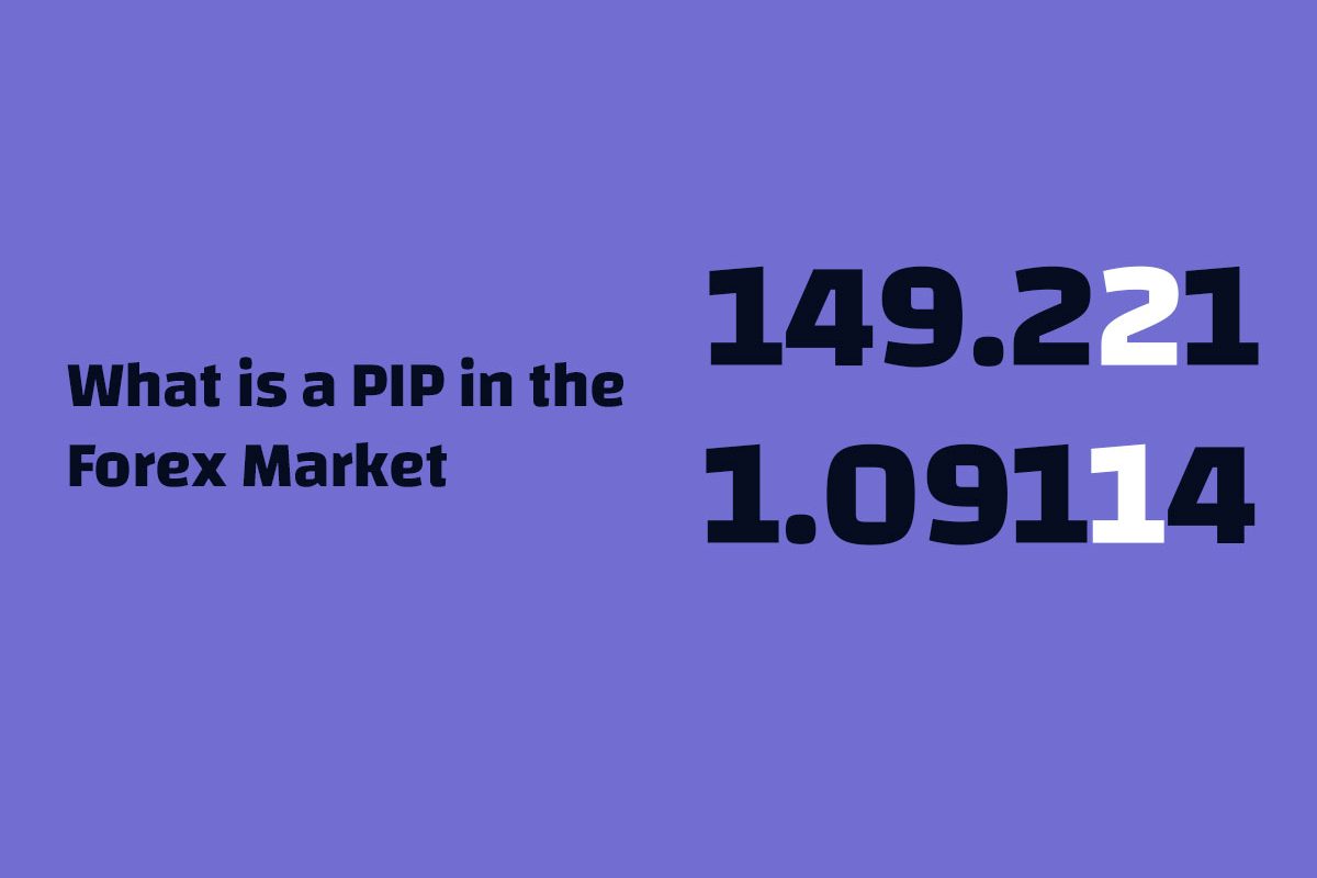 What is a Pip in trading - forexfxm.com